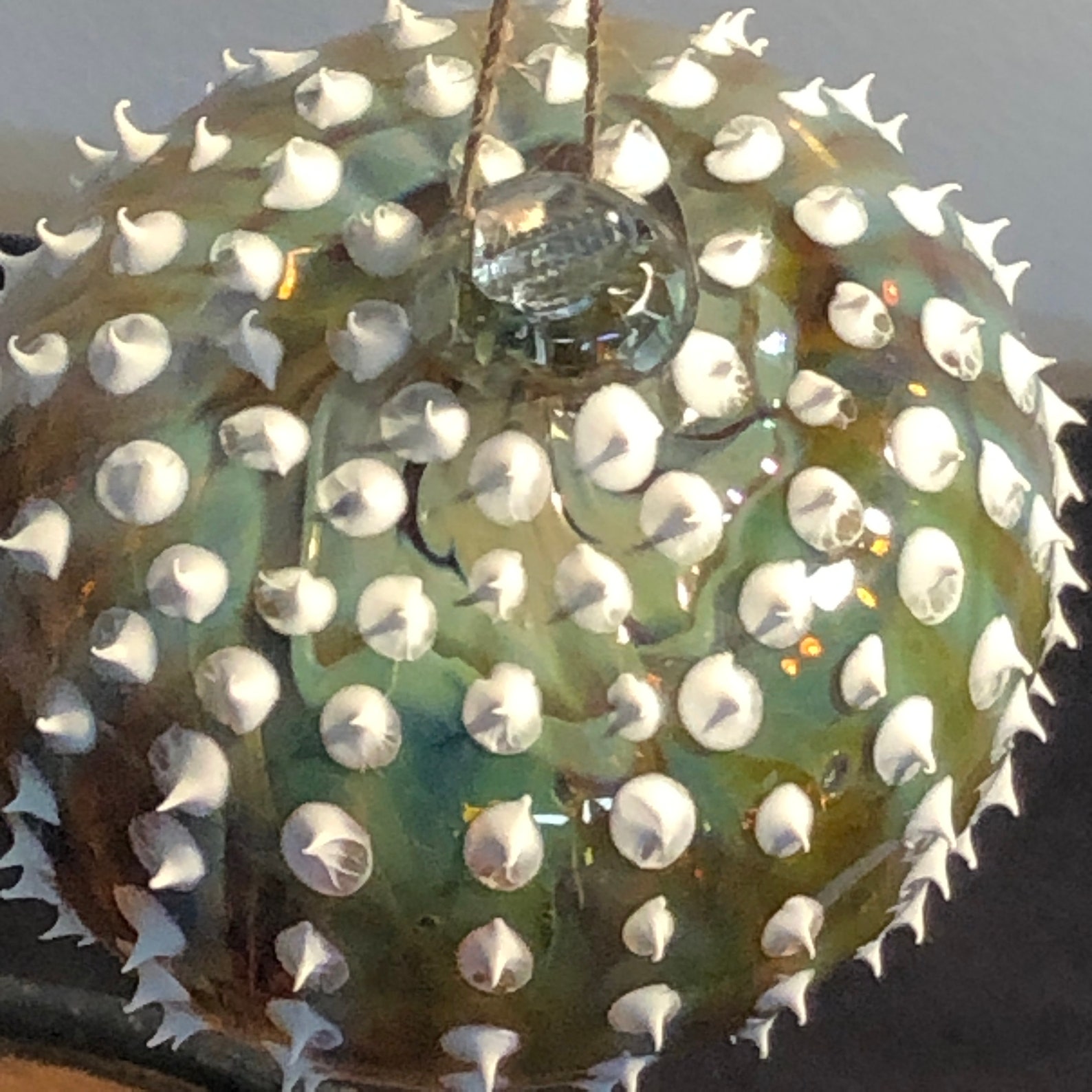Handmade Blown Glass Hanging Sea Urchin A Unique Accent Piece Etsy