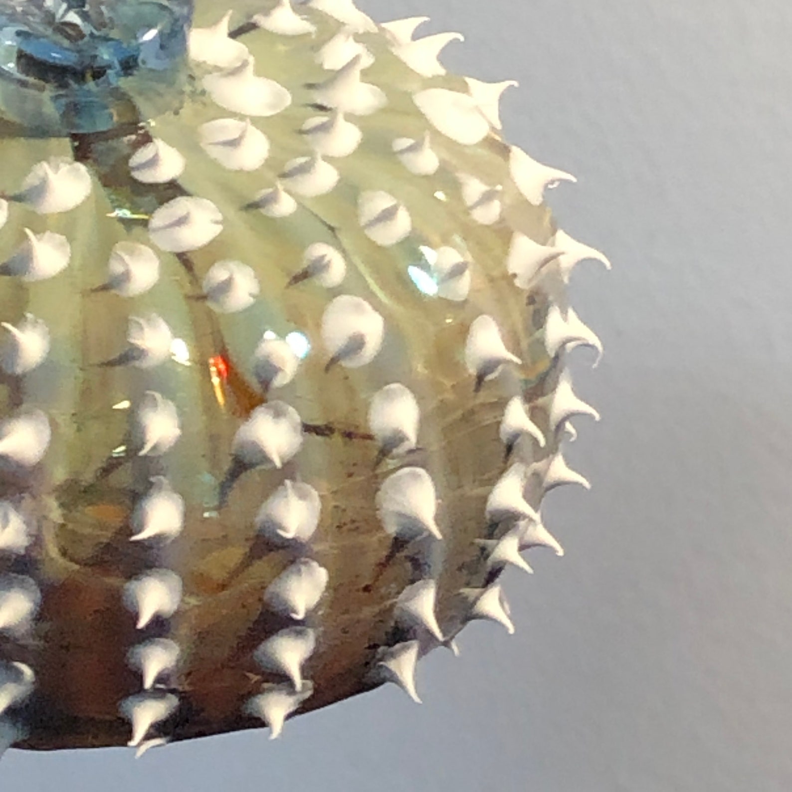 Handmade Blown Glass Hanging Sea Urchin A Unique Accent Piece Etsy