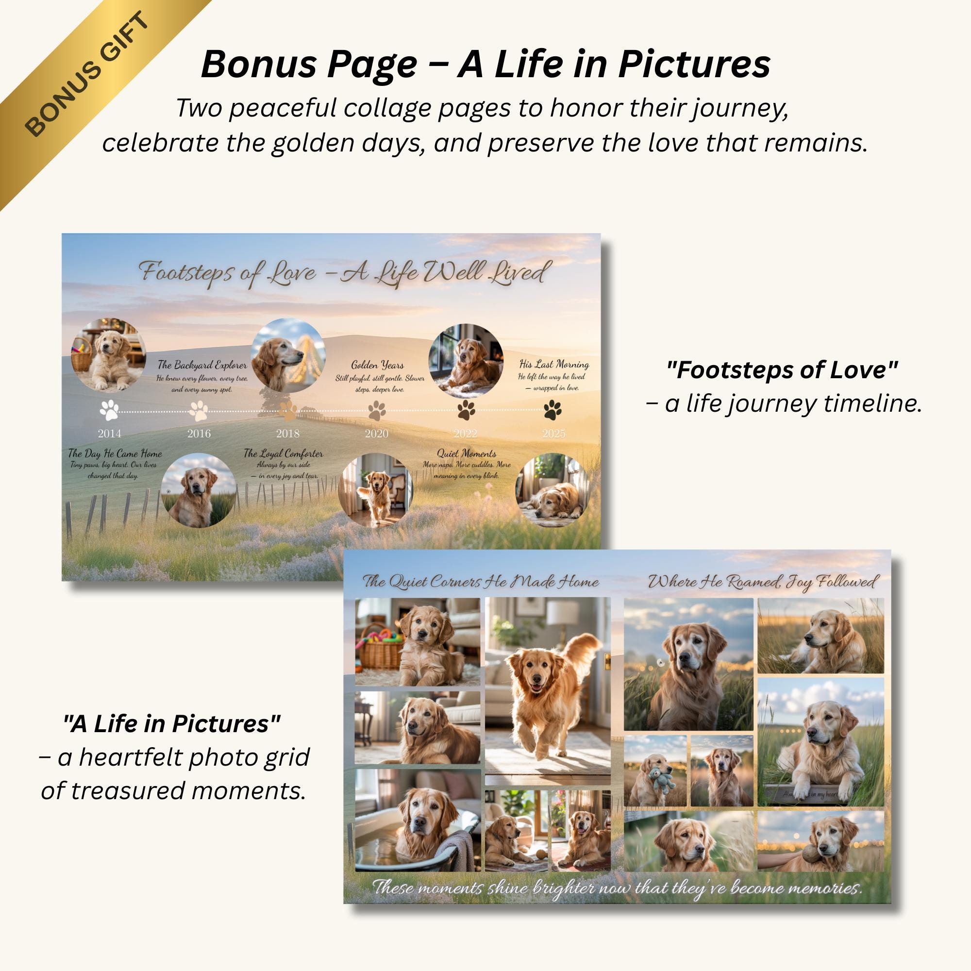 Dog Funeral Program Template – Editable Pet Memorial Booklet | Canva ...