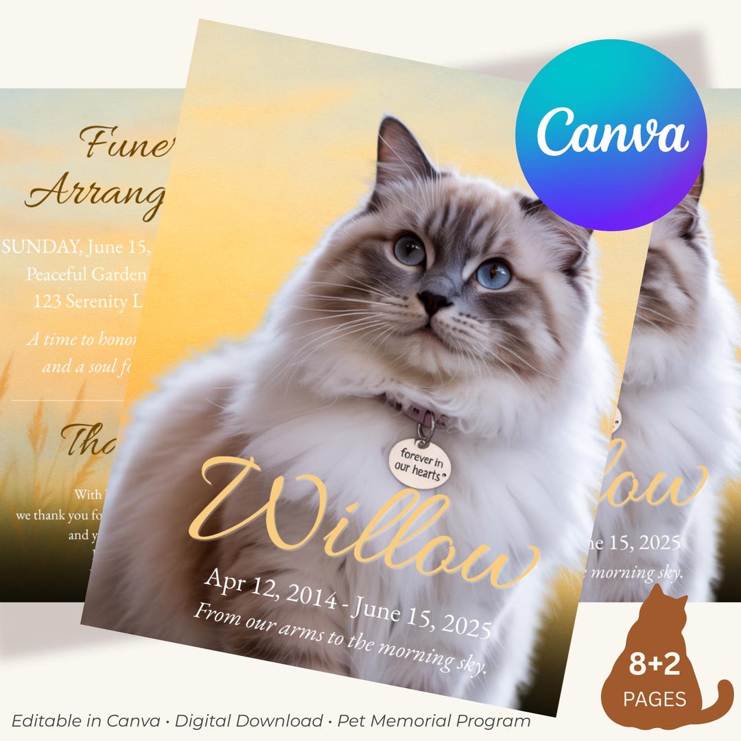 Pet Memorial Program Template – Cat Funeral Booklet | Editable in Canva ...