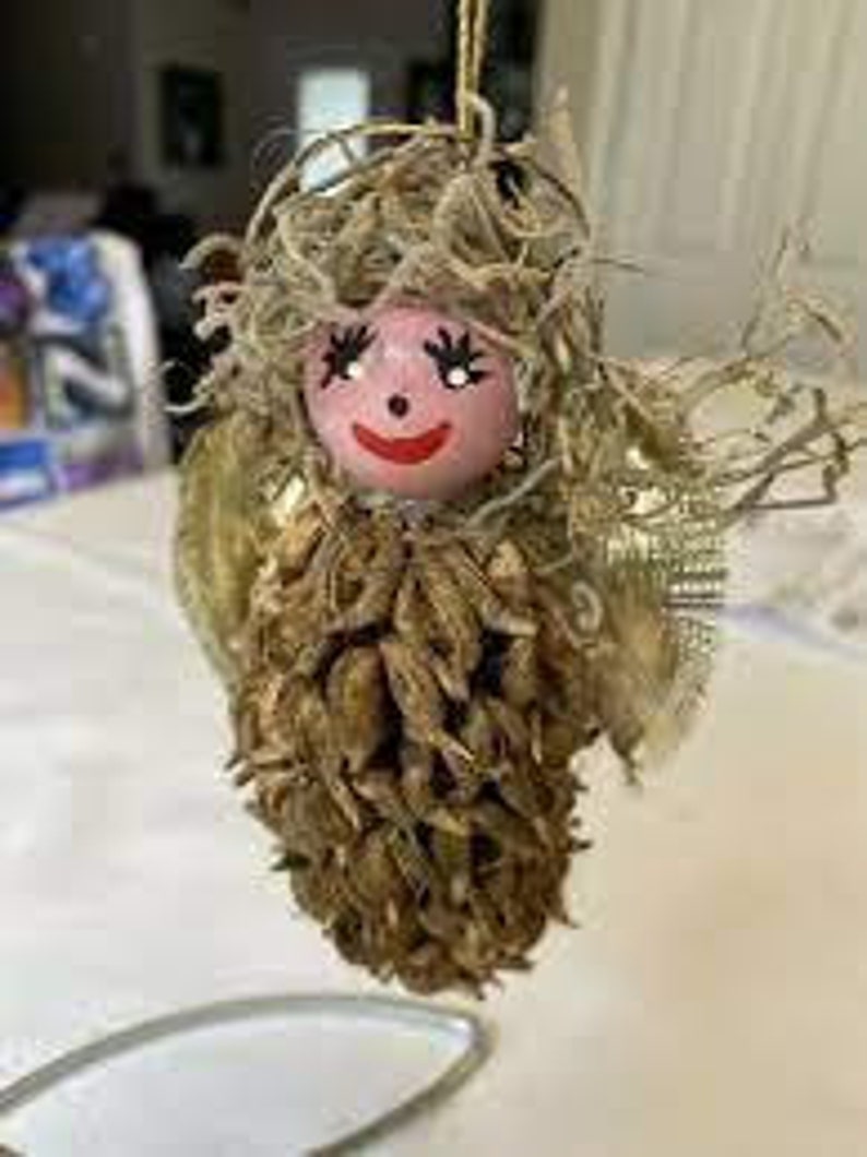 Magnolia Tree Bulbs Seed Pods for Crafting Christmas Ornaments - Etsy