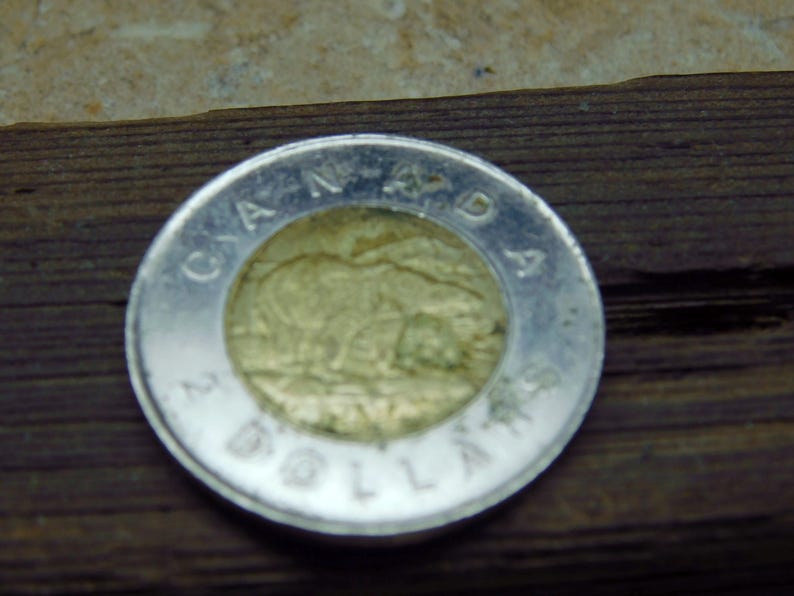 1996 Canadian 2 Dollar Coin Queen Elizabeth II & Polar Bear, 2 Tone ...