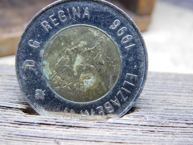 1996 Canadian 2 Dollar Coin Queen Elizabeth II & Polar Bear, 2 Tone ...