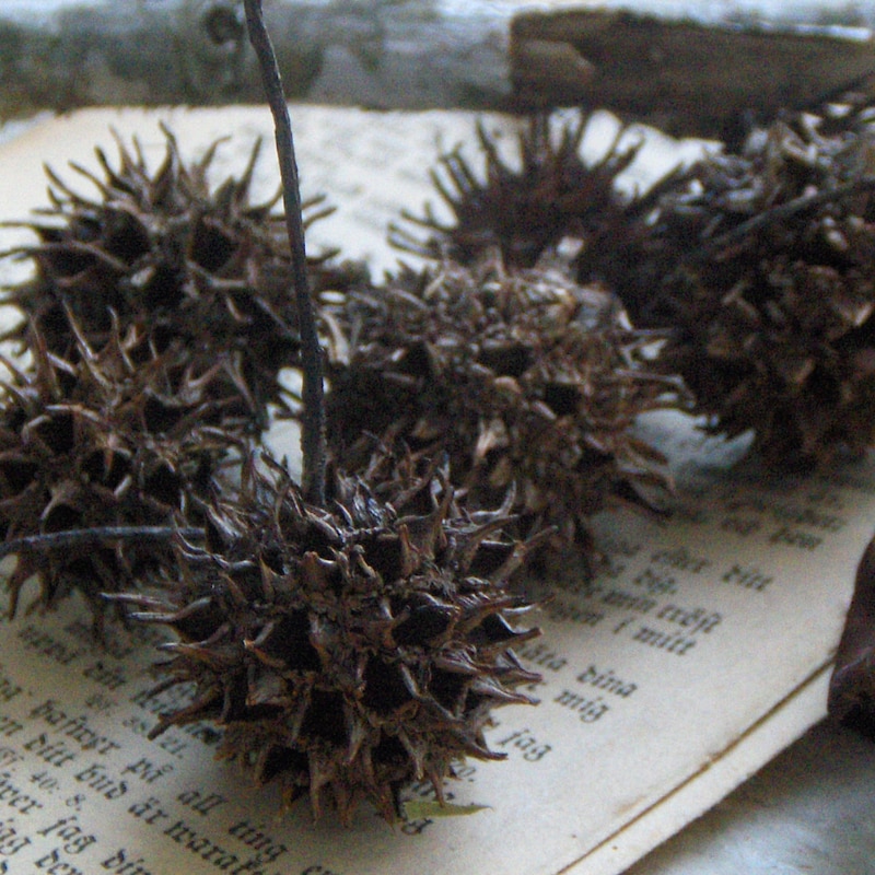 Sweet Gum Ball Crafts - Etsy