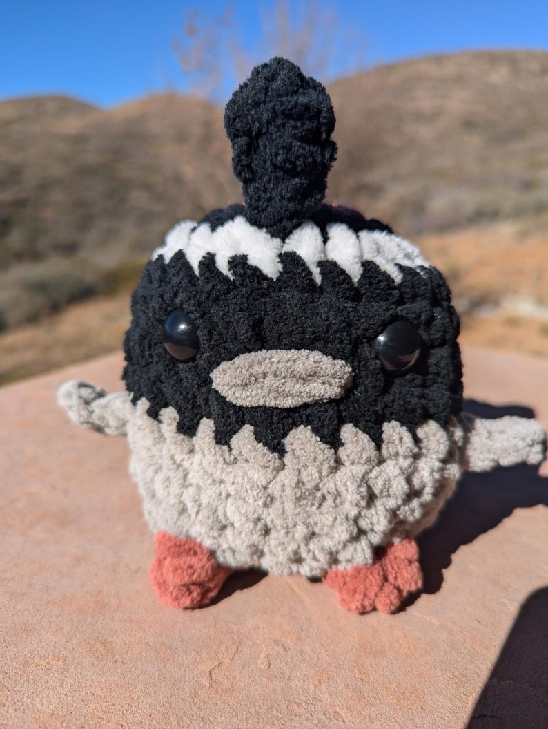 READY TO SHIP: Gamble's Quail Crochet Plushie - Etsy