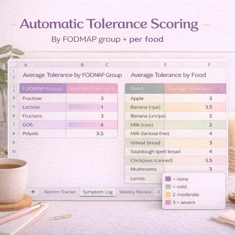 Low FODMAP Reintroduction Tracker for Excel | IBS Symptom & Food Log ...