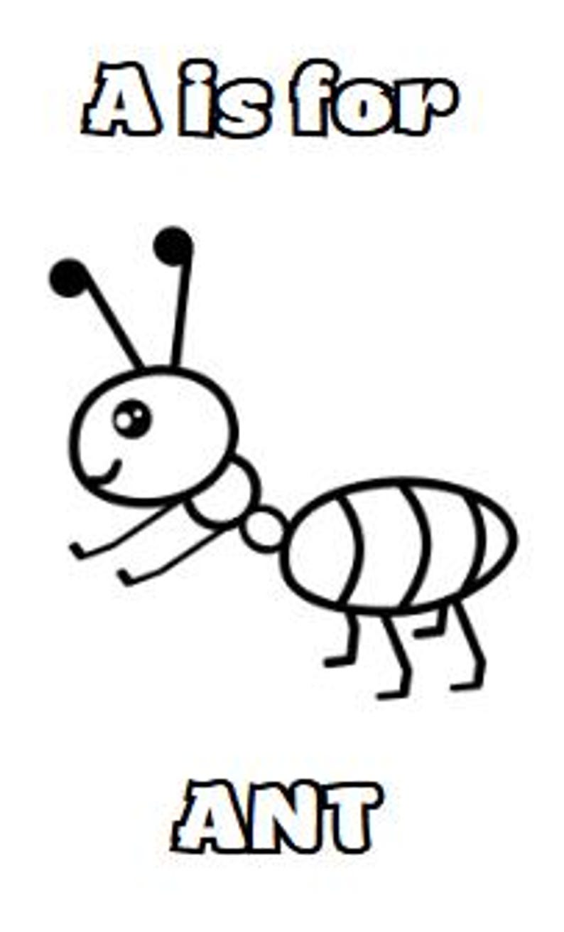 ABC Insect Flashcards - Etsy