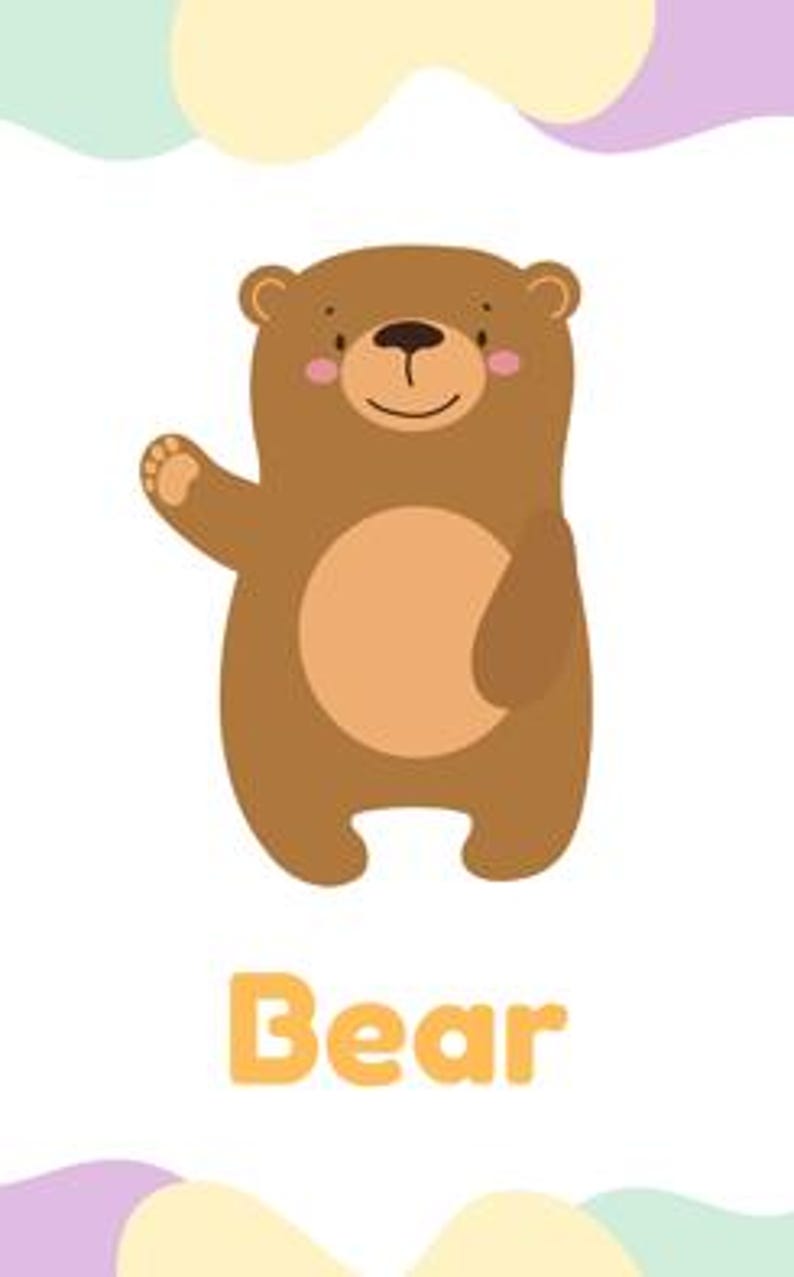 Animal Abc's Flashcards - Etsy