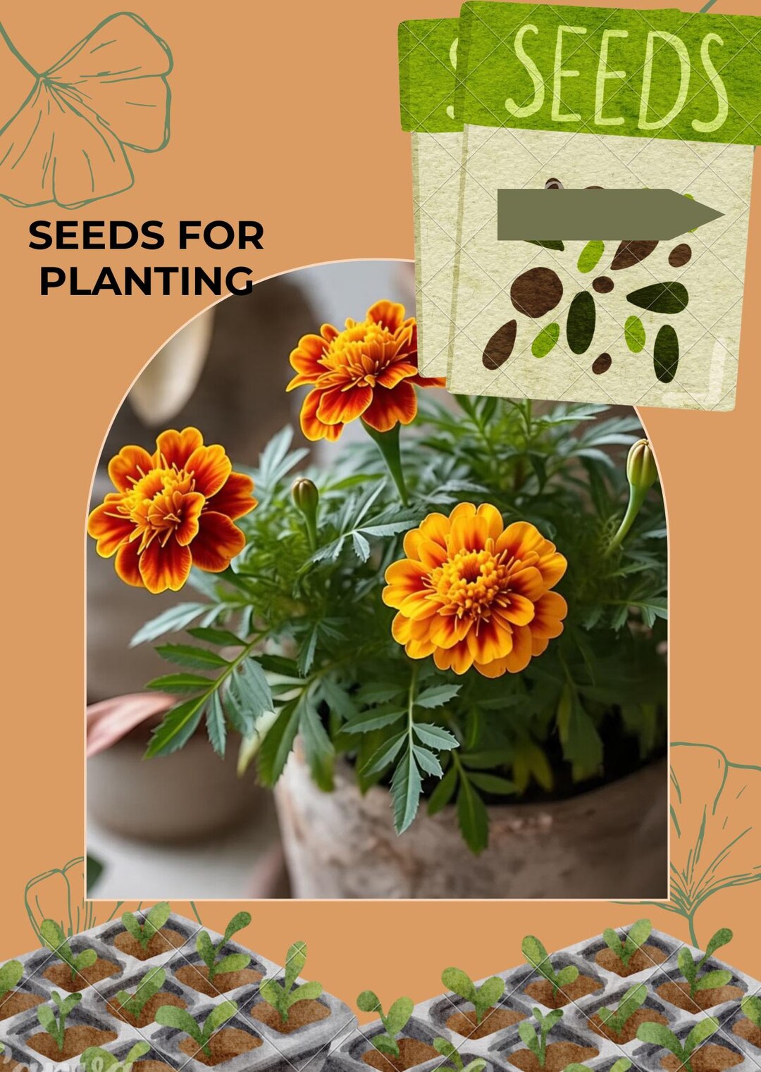 Marigold Seeds - African Inca II Primrose Annual Seed, Tagetes (25 ...