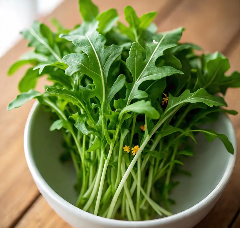 Herb Seeds - Arugula Rocket Seeds, Eruca Sativa, Rocket, Eruca, Arugula ...