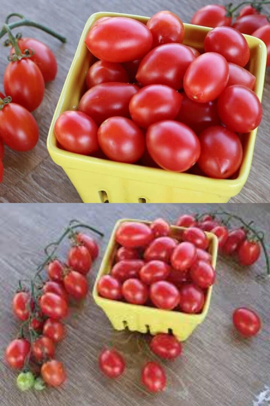 Pink Champagne Tomato Seeds, Tomato, Solanum Lycopersicum (10 Seeds ...