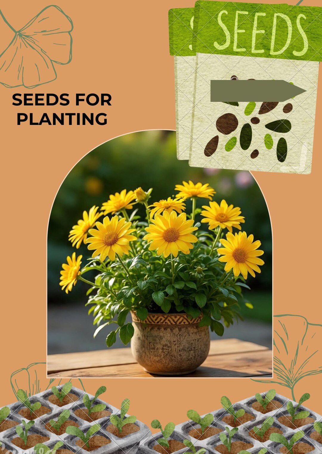 Dahlberg Daisy Shooting Star Annual Seeds, Thymophylla Tenuiloba ...