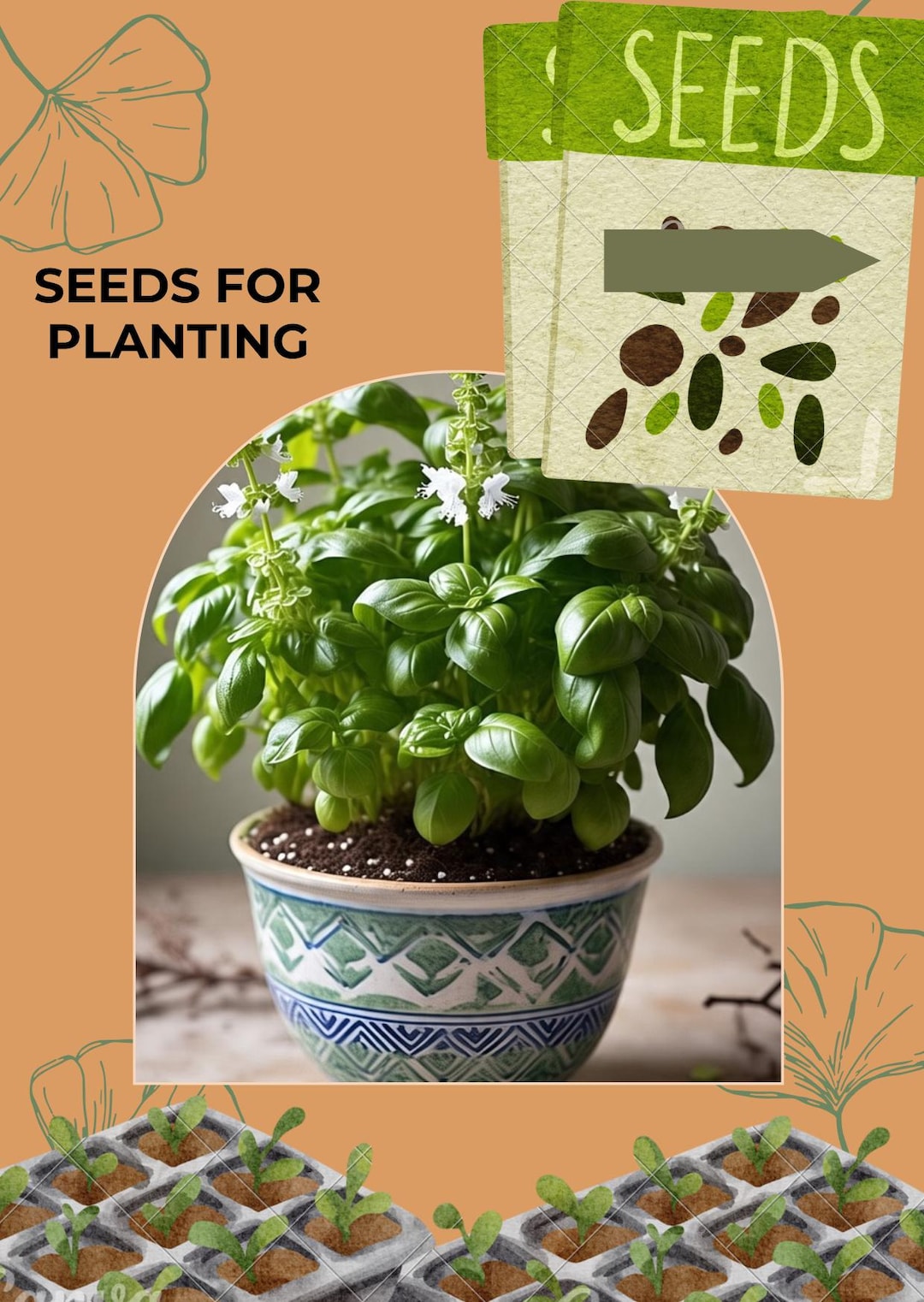 Herb Seeds - Basil Seed Dwarf Fine Bush Minette Seeds, Basil Minette ...