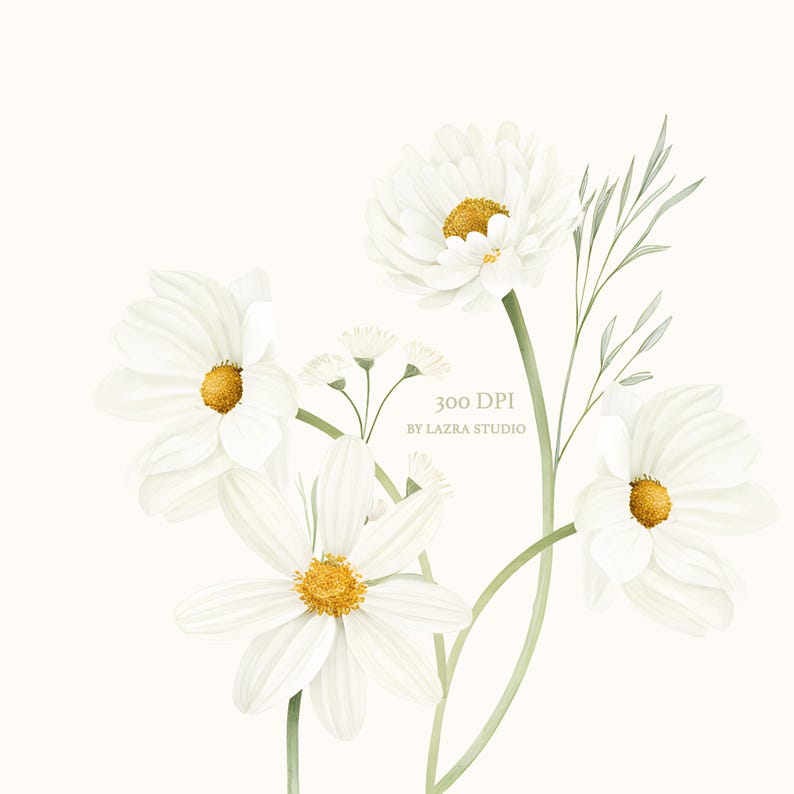 Watercolor Daisy Clipart Hand-painted Floral PNG, Wedding Design - Etsy