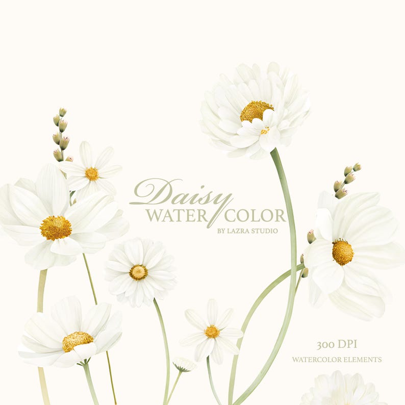 Watercolor Daisy Clipart Hand-painted Floral PNG, Wedding Design - Etsy