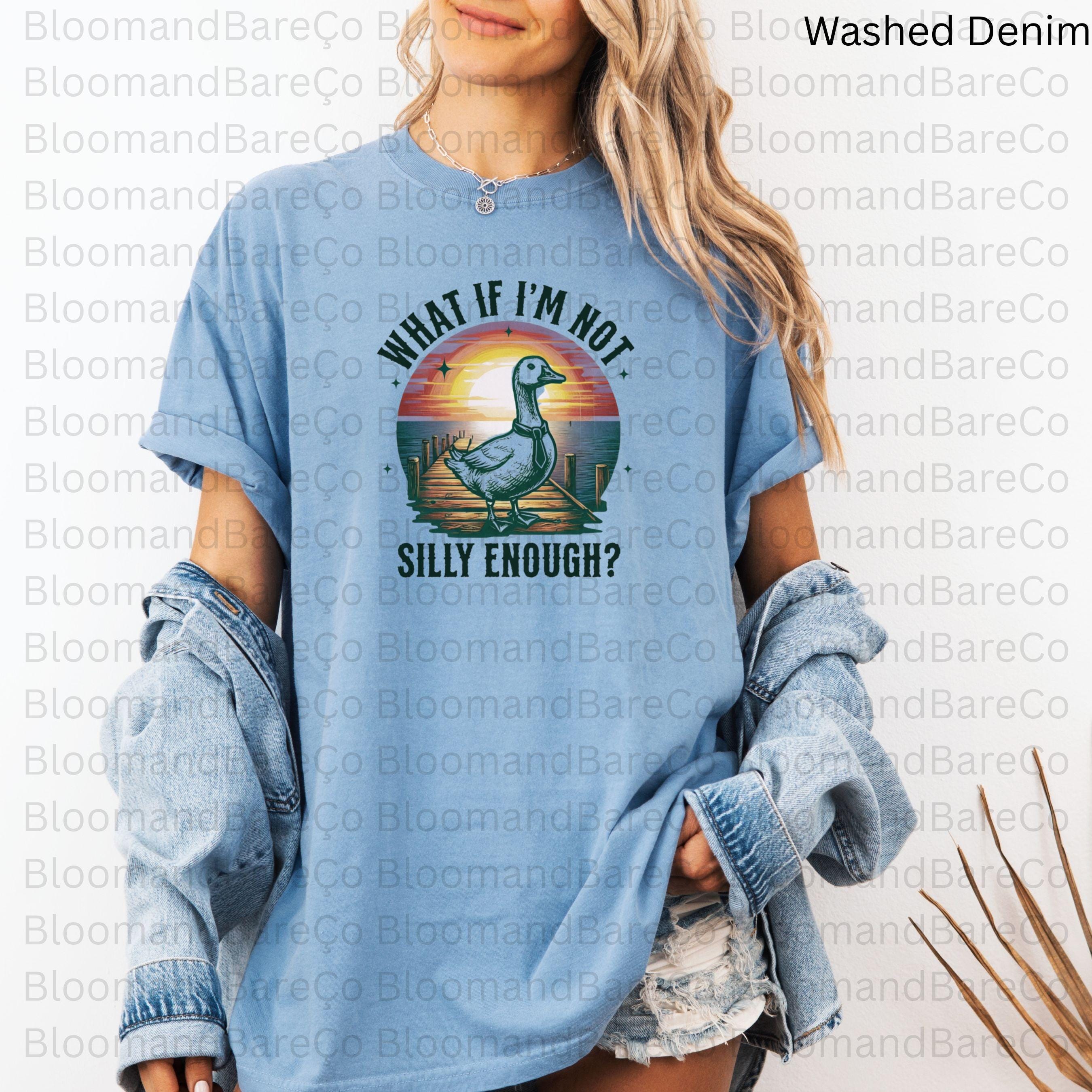 What If I'm Not Silly Enough PNG| Silly Goose on the Loose| Silly Goose ...