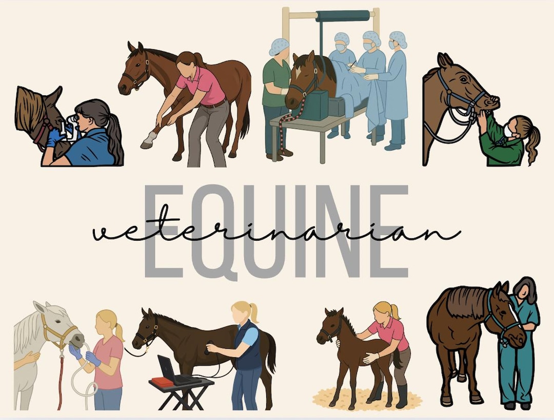 Equine Veterinarian Poster/veterinary Wall Art/veterinary Inspiration ...