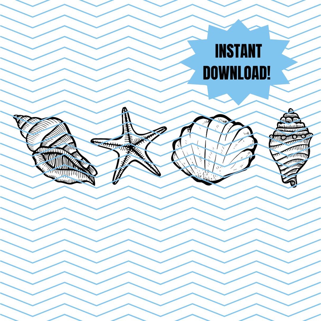 Seashell Clipart Bundle | Beach Ocean Shells, Summer Crafts (digital ...