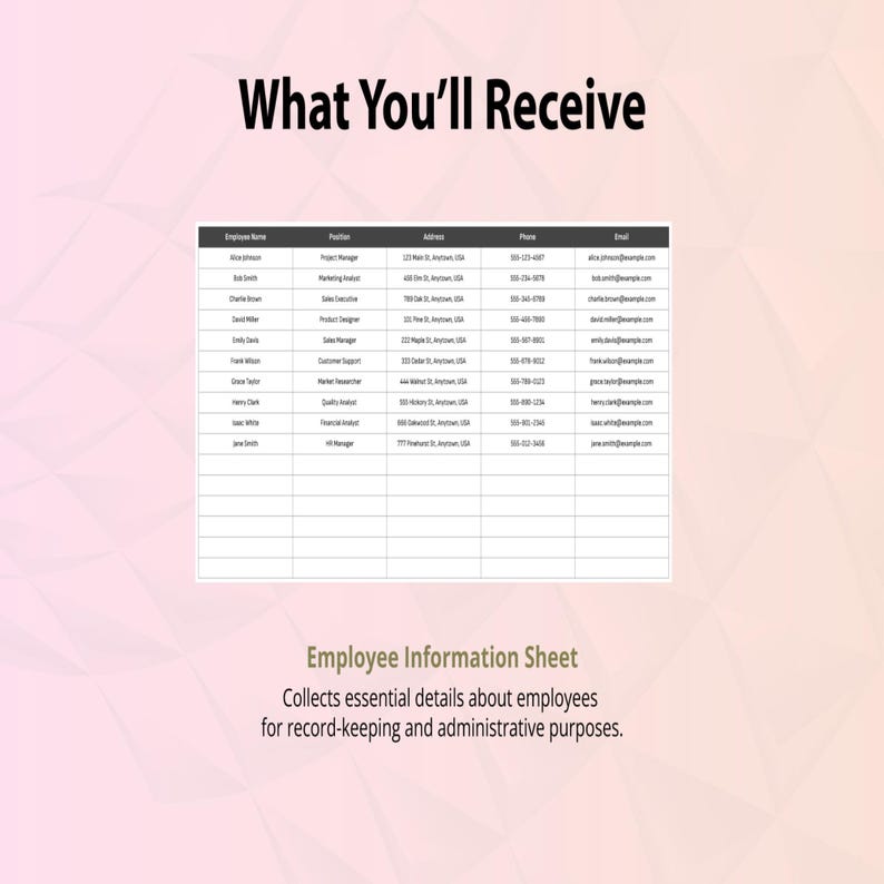 Business Development RACI Chart Template • Excel & Google Sheets • Role ...