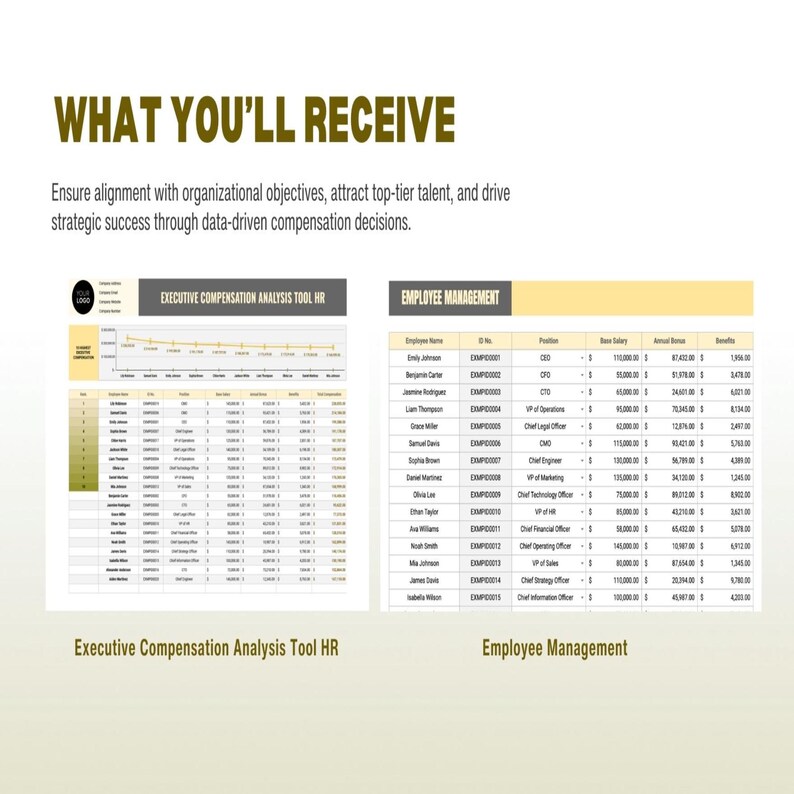 Executive Compensation Analysis HR Template Excel Google Sheets | Pay ...