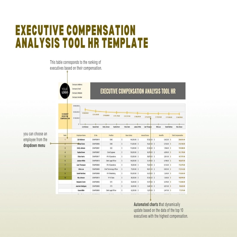 Executive Compensation Analysis HR Template Excel Google Sheets | Pay ...