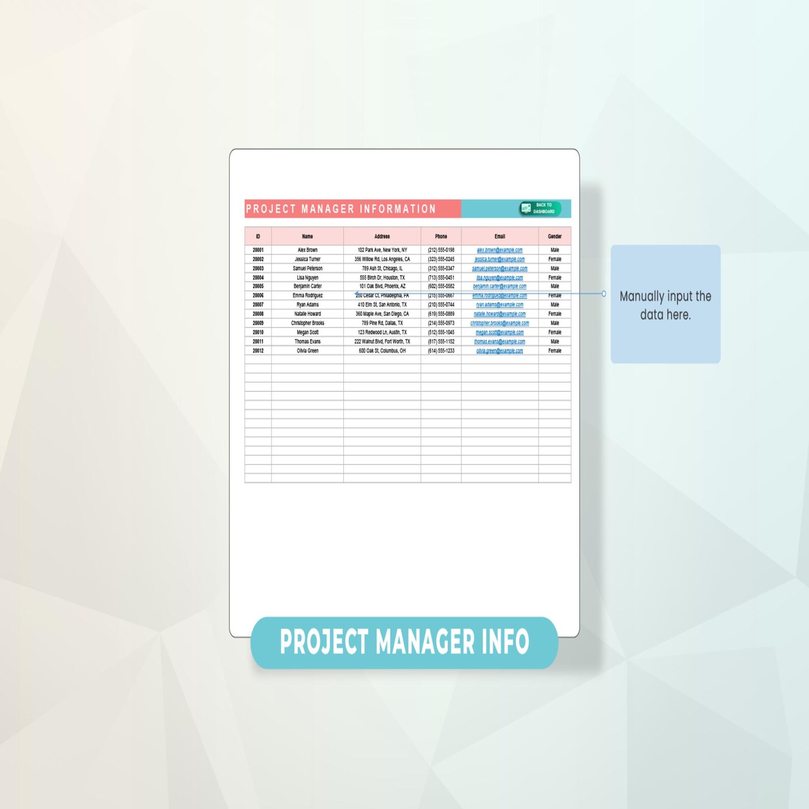 Multiple Project Management Dashboard Template – Excel & Google Sheets ...