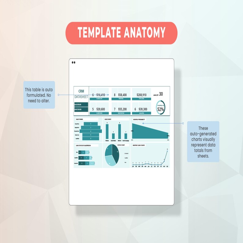 CRM Data Sheet Template – Excel & Google Sheets Customer Database and ...