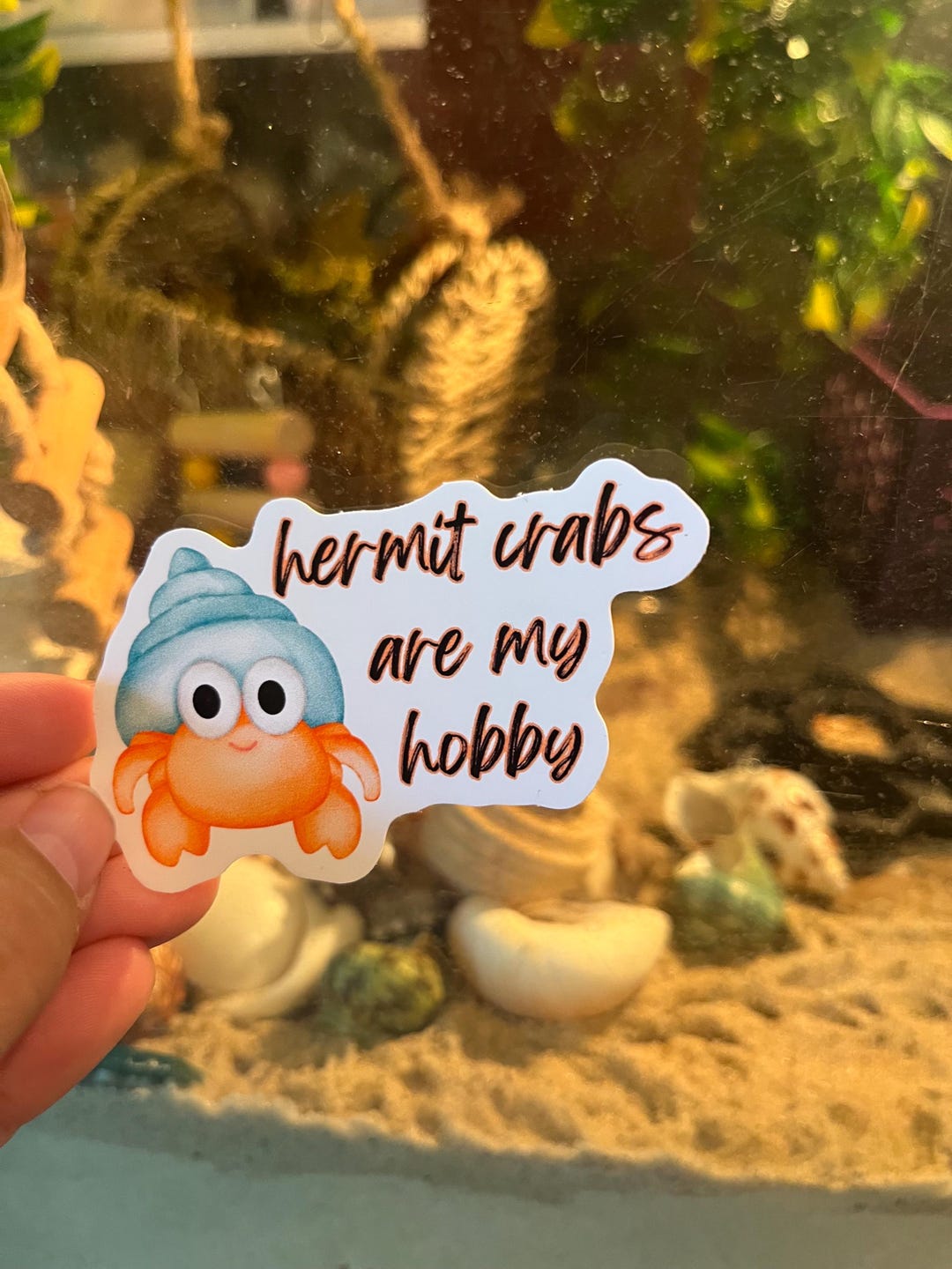 Hermit Crabs Are My Hobby Sticker (cute) - Etsy