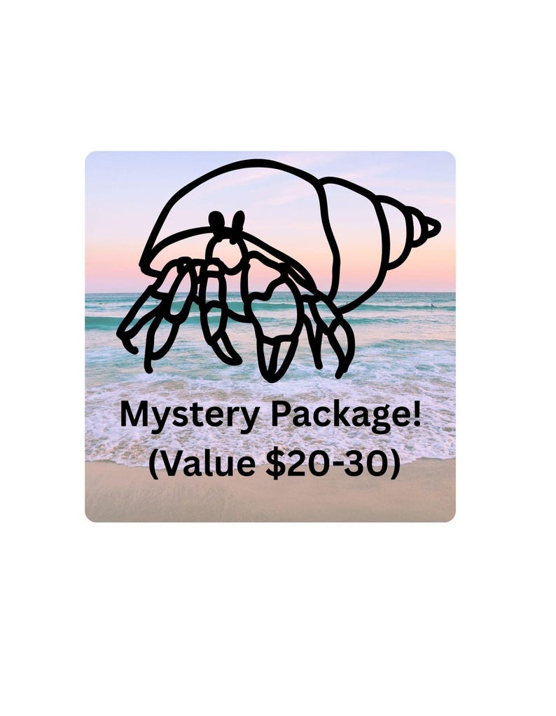 Hermit Crab Mystery Package! - Etsy