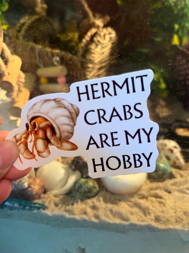 Hermit Crabs Are My Hobby Sticker - Etsy