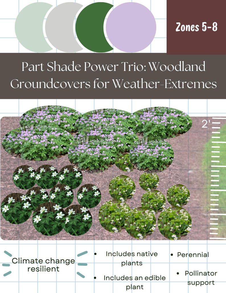 Part Shade Power Trio: A Woodland Groundcover Planting Plan for Weather ...