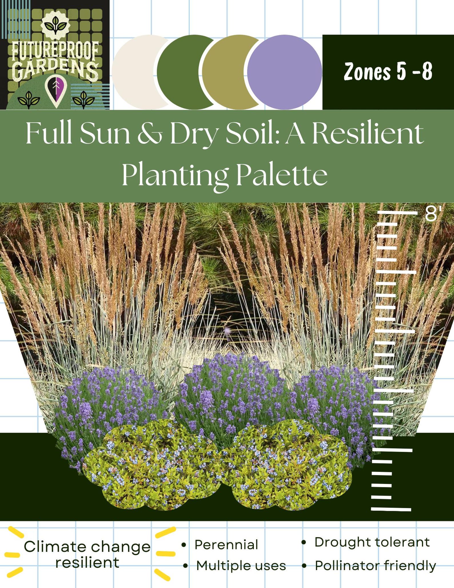 Full Sun & Dry Soil: A Resilient Planting Palette - Etsy