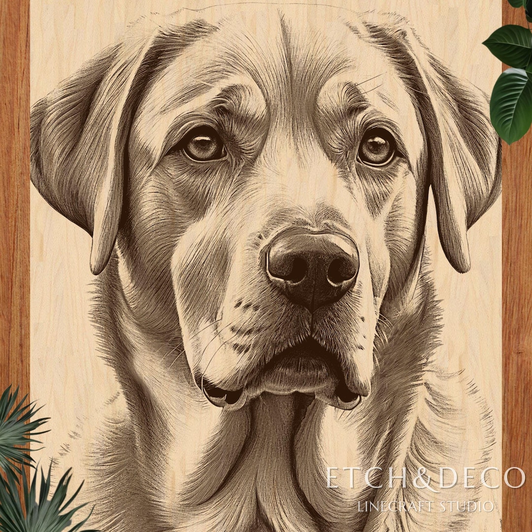 Labrador Retriever PNG for Laser Engraving – Dog Portrait Line Art ...
