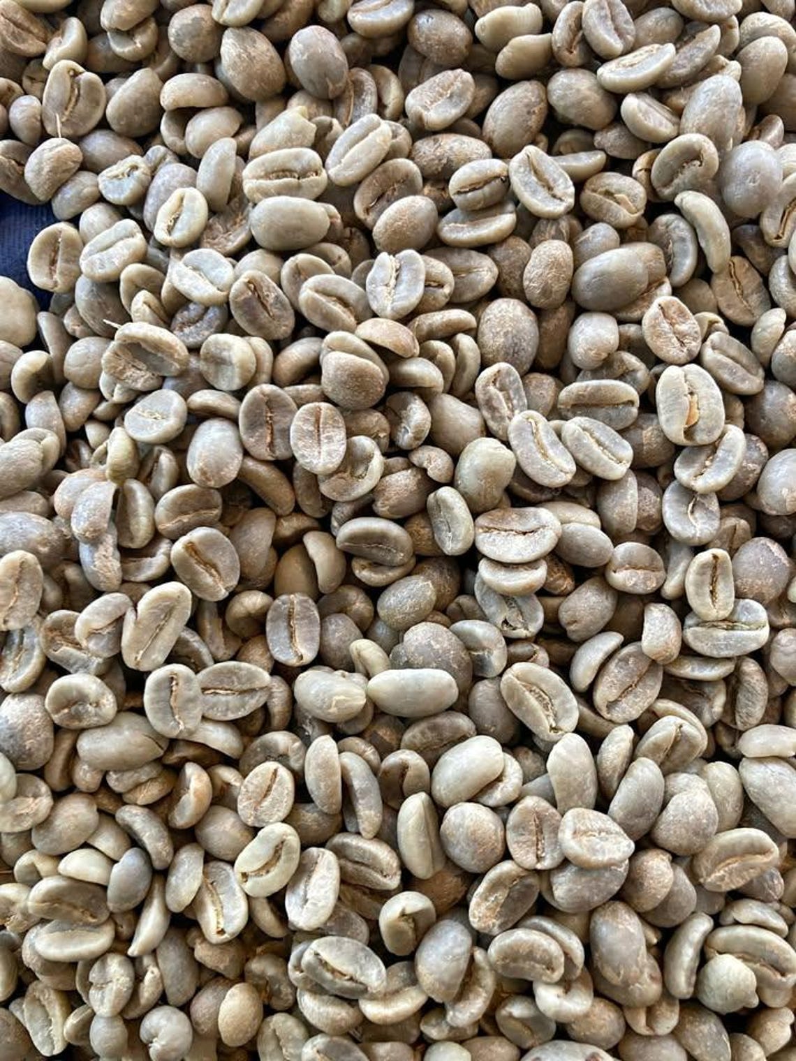 Unroasted Green Coffee Beans – Direct From Top Origins Farm & Fresh - Etsy