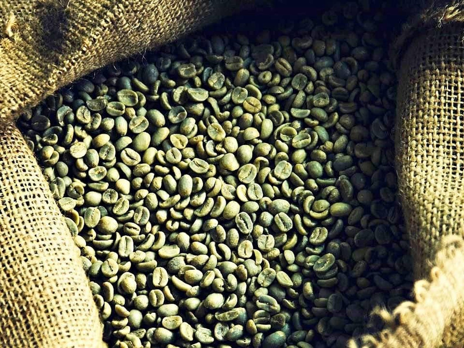 Unroasted Green Coffee Beans – Direct From Top Origins Farm & Fresh - Etsy