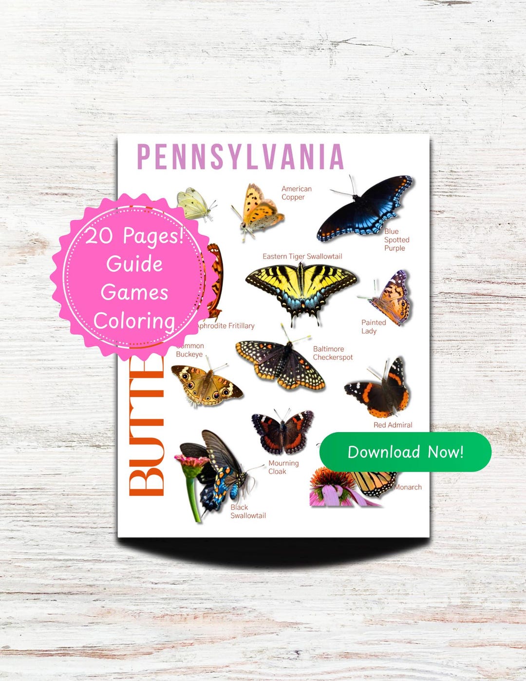 Pennsylvania Butterfly Field Guide for Kids: PA Nature Journal (PDF ...
