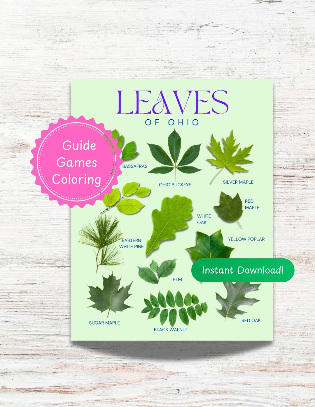 Ohio Leaf Guide for Kids - Printable Nature Journal on Leaves of OH ...