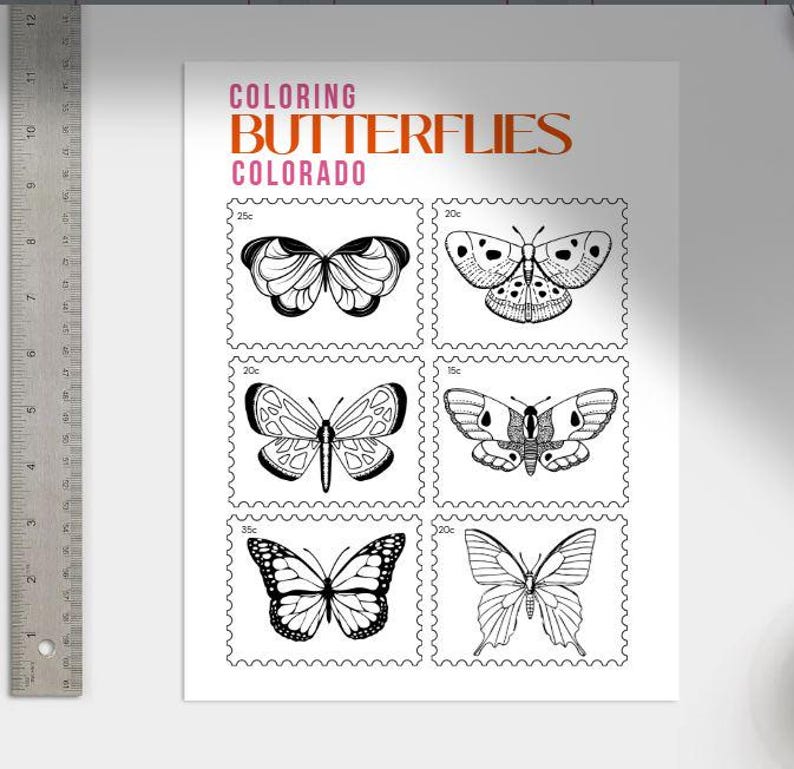 Colorado Butterfly Field Guide for Kids - Printable Nature Journal (PDF ...