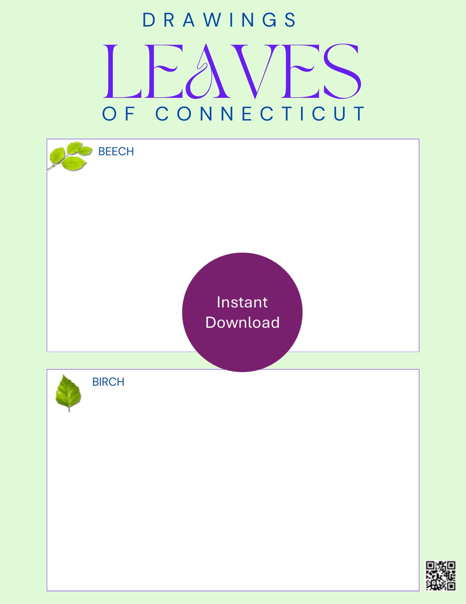 Connecticut Leaf Activity Pages for Kids – Printable Nature Journal, Leaf ID, Tracking & Drawing ...