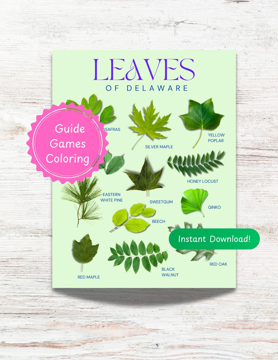 Delaware Leaf Guide for Kids – Printable Nature Journal, Tree ID ...