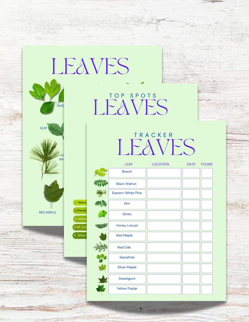 Ohio Leaf Guide for Kids - Printable Nature Journal on Leaves of OH ...