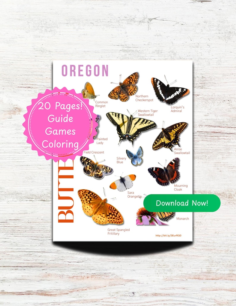 Oregon Butterfly Field Guide for Kids - Printable Nature Journal (PDF ...