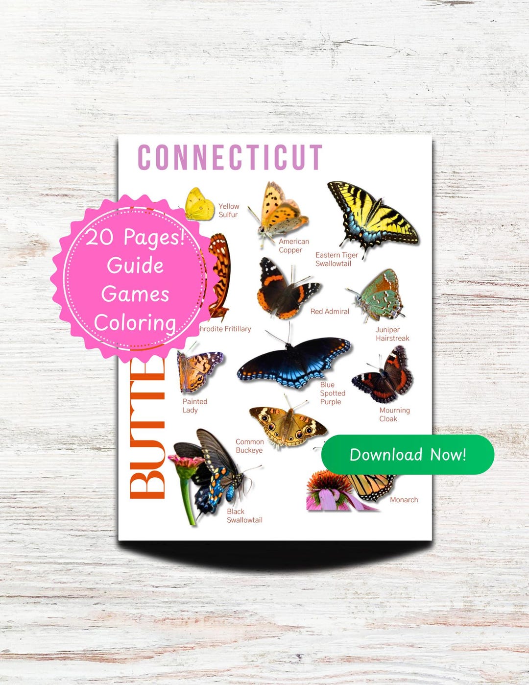 Connecticut Butterflies Printable - Printable Nature Journal, Checklist ...