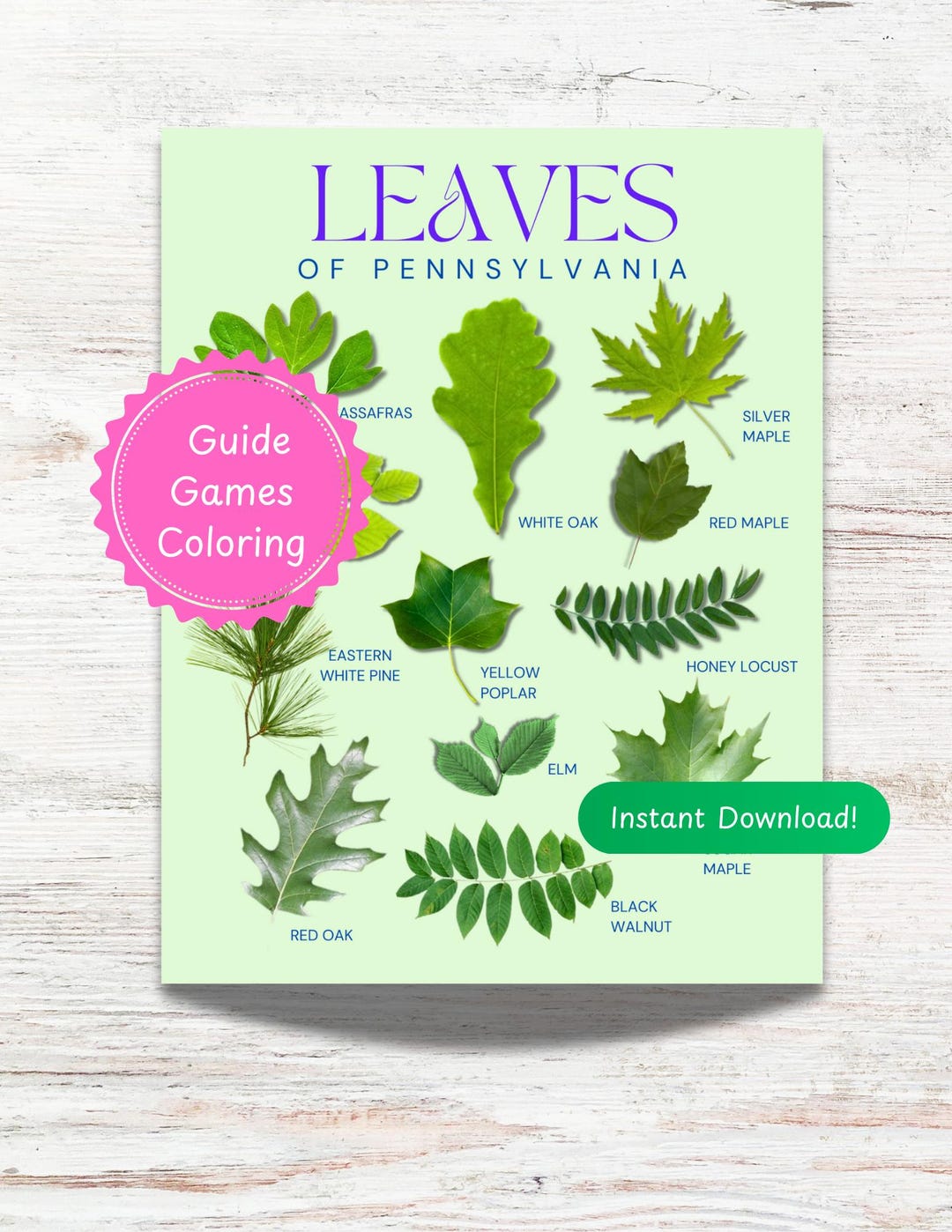 Pennsylvania Leaf Guide for Kids. Printable Nature Journal With Leaves ...