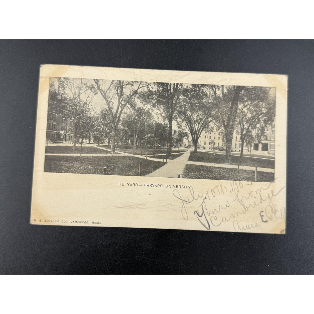 Vintage 1903 Postcard the Yard Harvard University Cambridge MA Antique ...