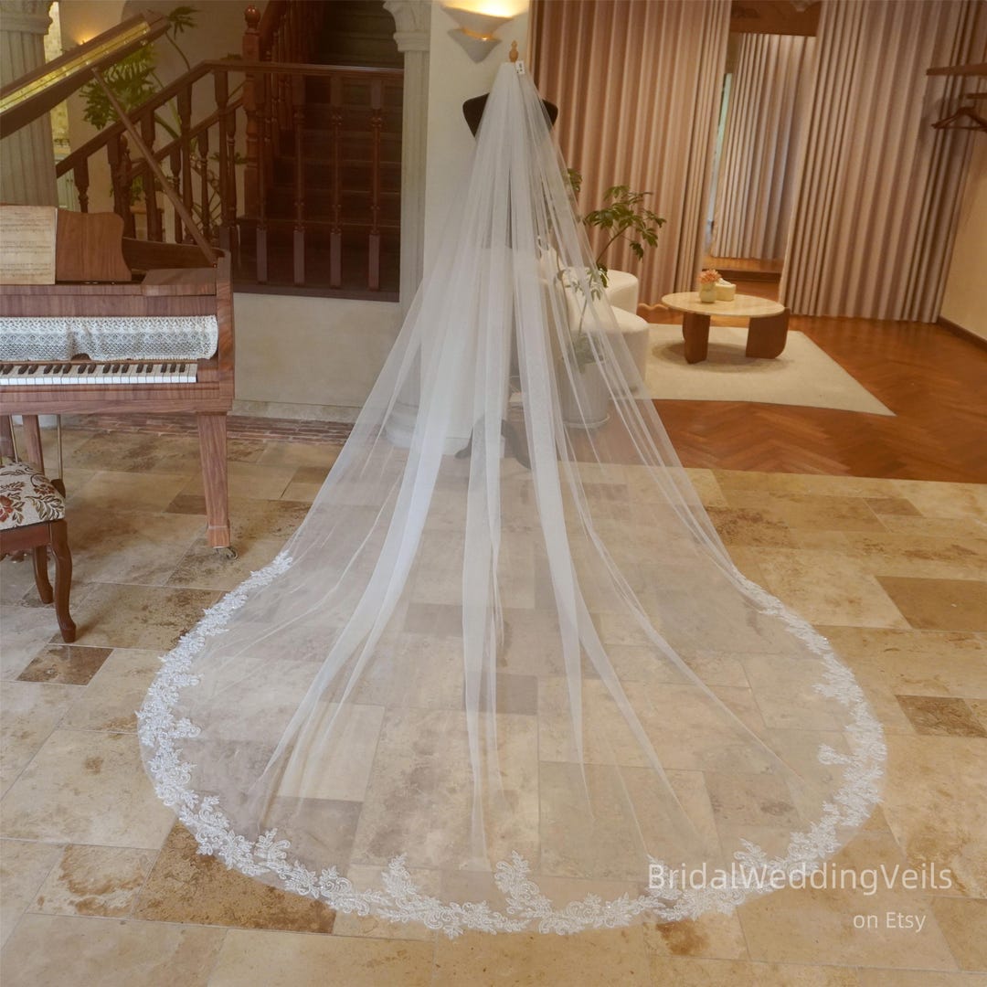 Elegant Beaded Wedding Veil Cathedral Length,ivory Tulle Beading Veil ...