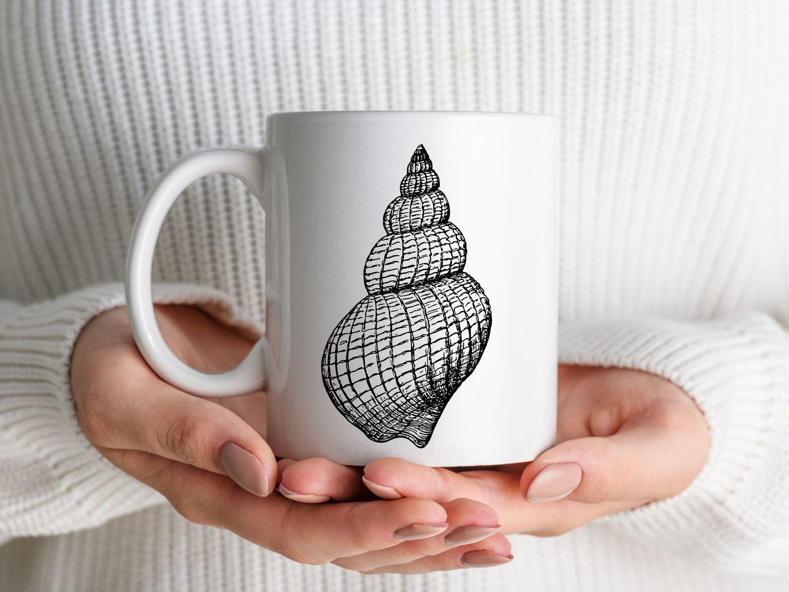 Seashell SVG, Seashell Cricut, Seashell Cut Files, Seashell Silhouette ...