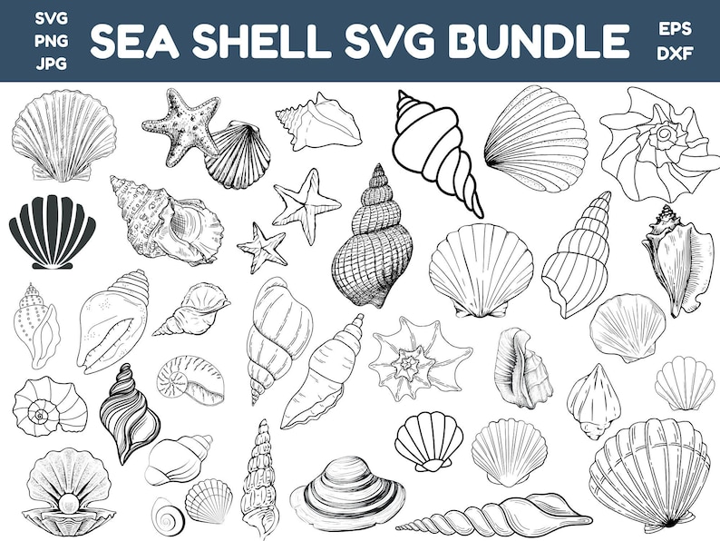 Seashell SVG, Seashell Cricut, Seashell Cut Files, Seashell Silhouette ...