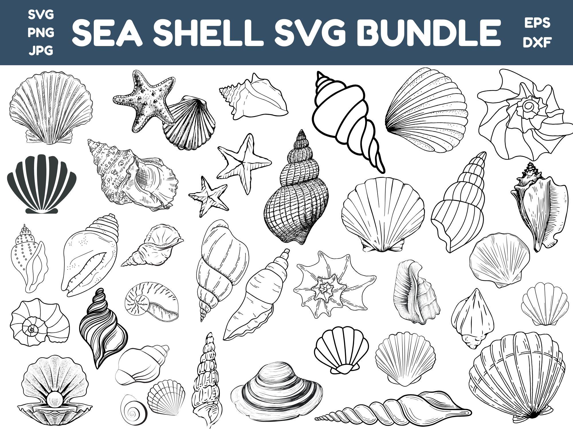 Seashell SVG, Seashell Cricut, Seashell Cut Files, Seashell Silhouette ...