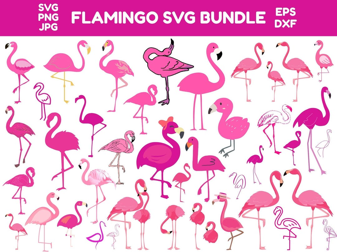 Flamingo SVG Bundle: Cut Files for Cricut, Silhouette (digital Download ...